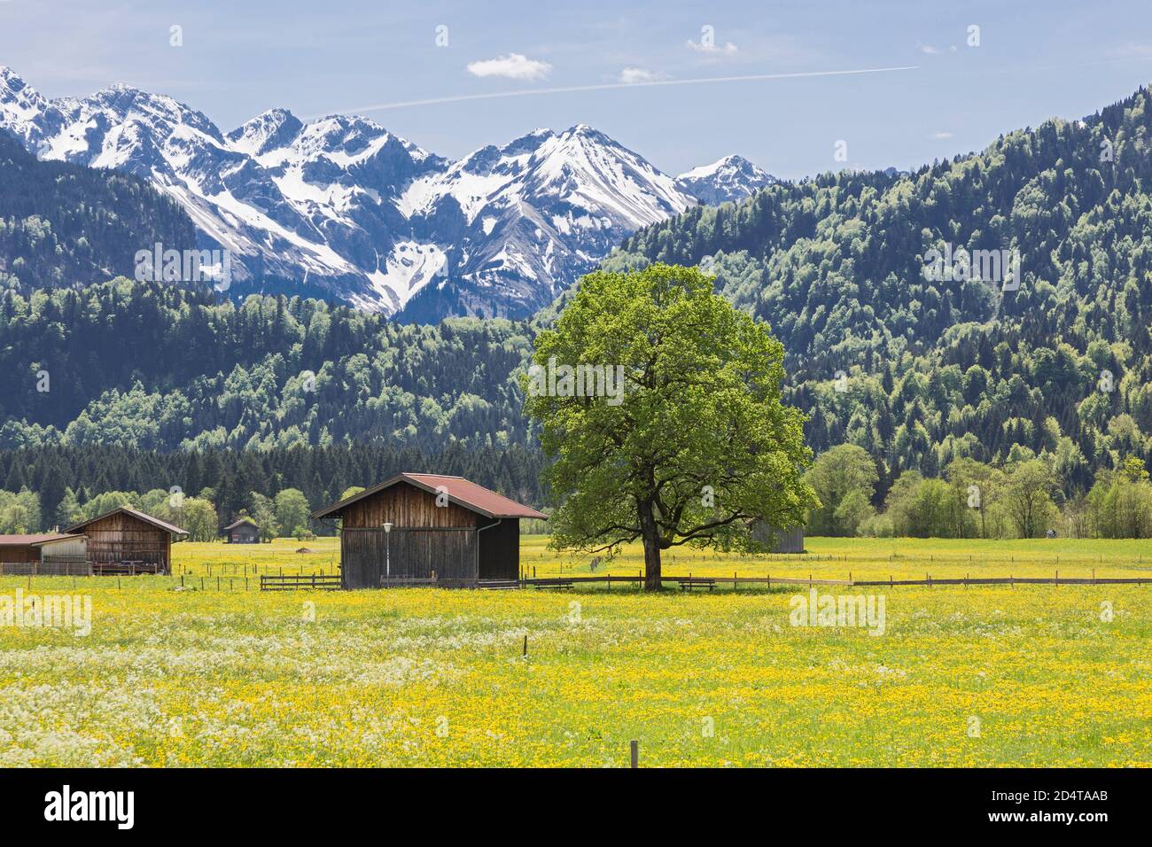 Blumenwiese panorama hi-res stock photography and images - Alamy
