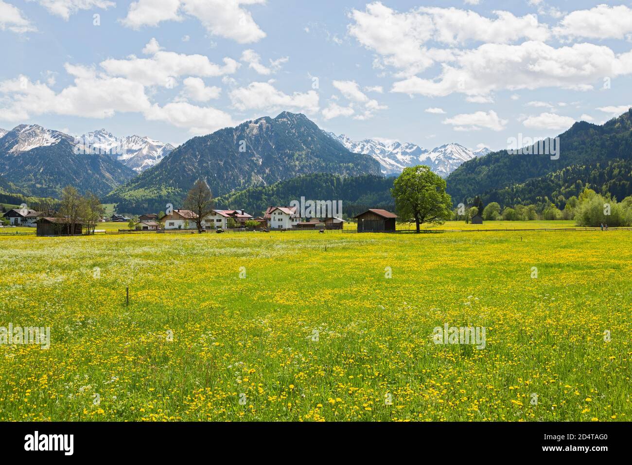 Blumenwiese panorama hi-res stock photography and images - Alamy