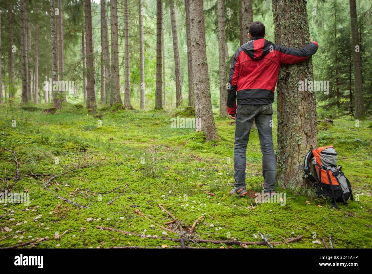 Tree Hug Therapy High Resolution Stock Photography and Images - Alamy