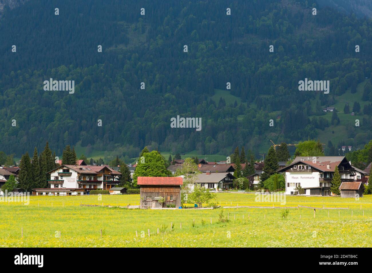 Allgäu, Oberstdorf, blühende Wiesen mit Scheune, Berge, Ortschaft Stock Photo - Alamy