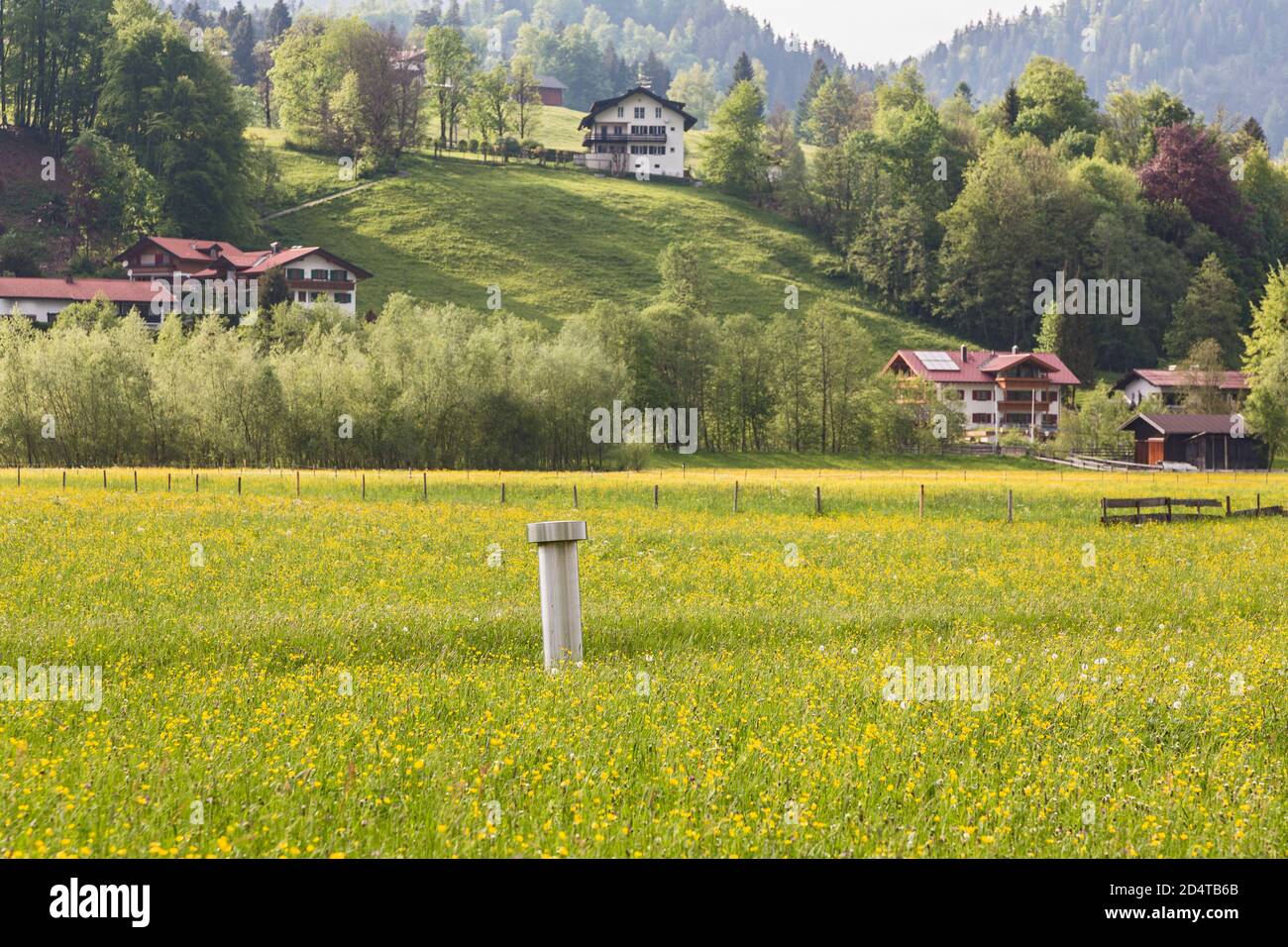 Allgäu, Oberstdorf, blühende Wiesen mit Lüftungsrohr, Häuser, Berge Stock Photo - Alamy