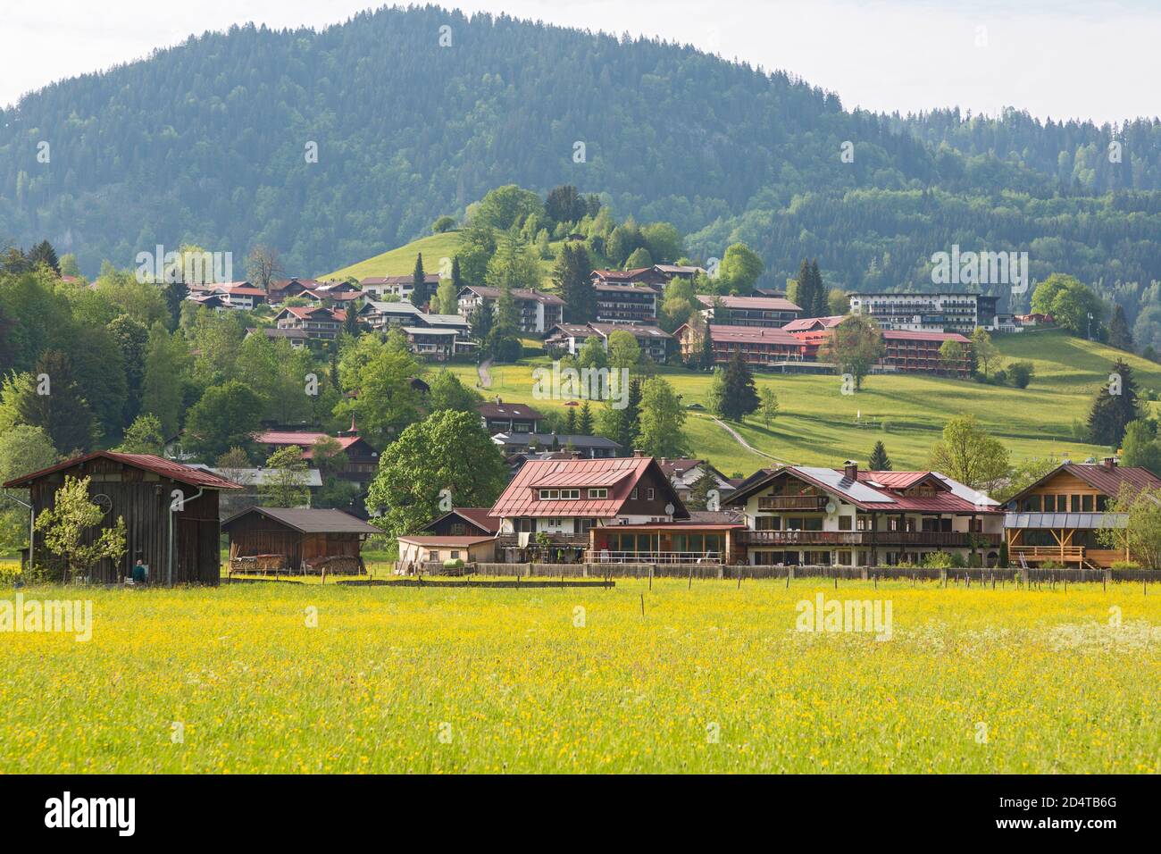 Allgäu, Oberstdorf, blühende Wiesen, Häuser, Berge, bewaldet Stock Photo - Alamy