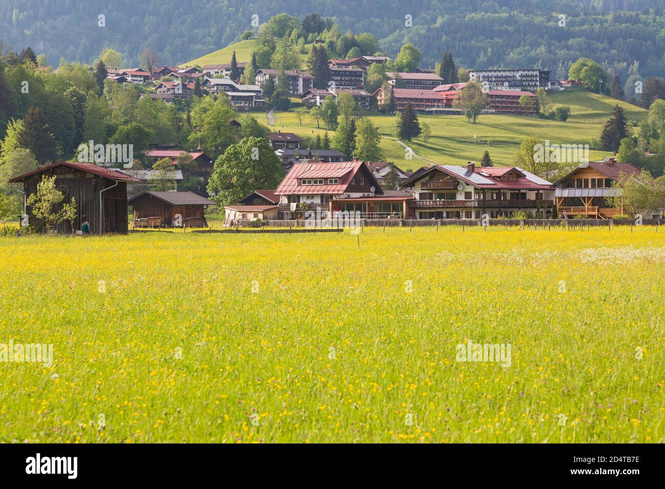 Allgäu, Oberstdorf, blühende Wiesen, Häuser, Berge, bewaldet Stock Photo - Alamy