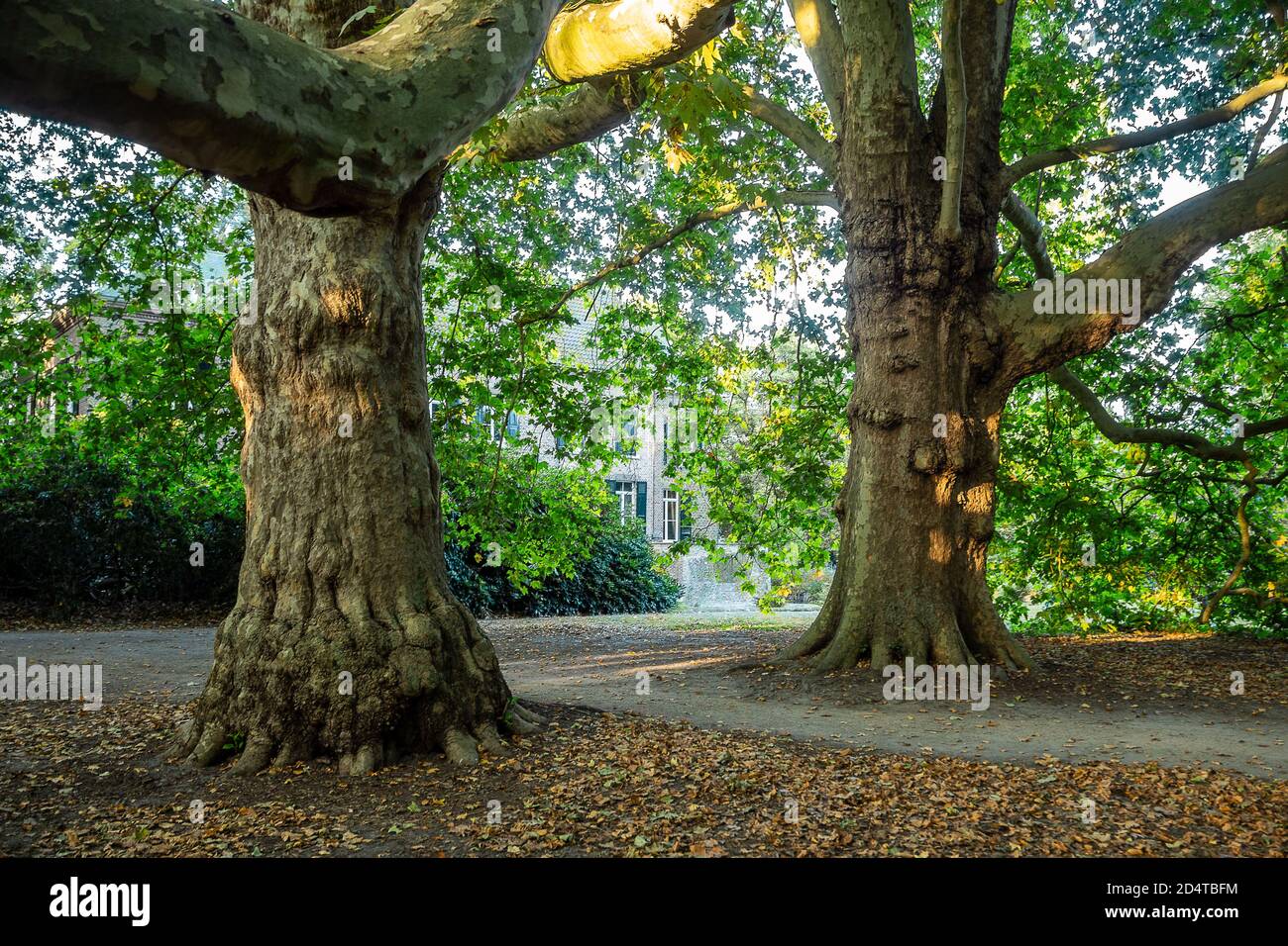 A castle in Geldrop Noord-Brabant Holland look through a tree Stock ...