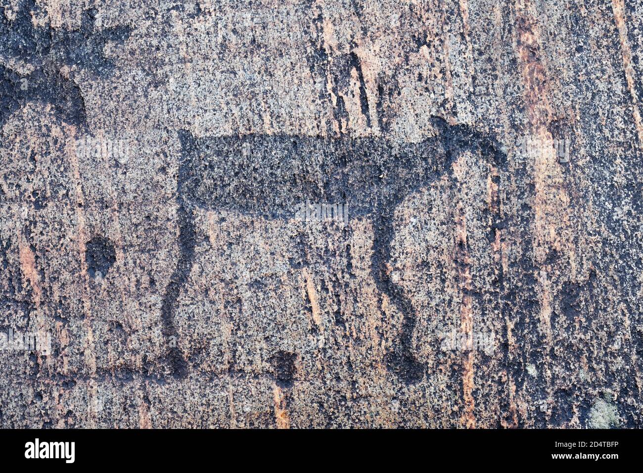 White Sea petroglyphs (ancient rock paintings) in Zalavruga, 4,5 ...