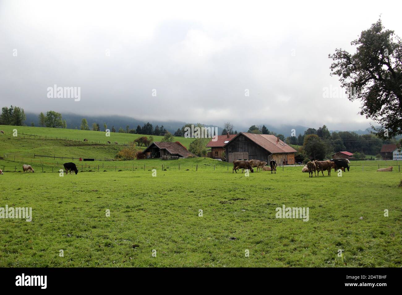 Beautiful shot countryside scenery hi-res stock photography and images ...