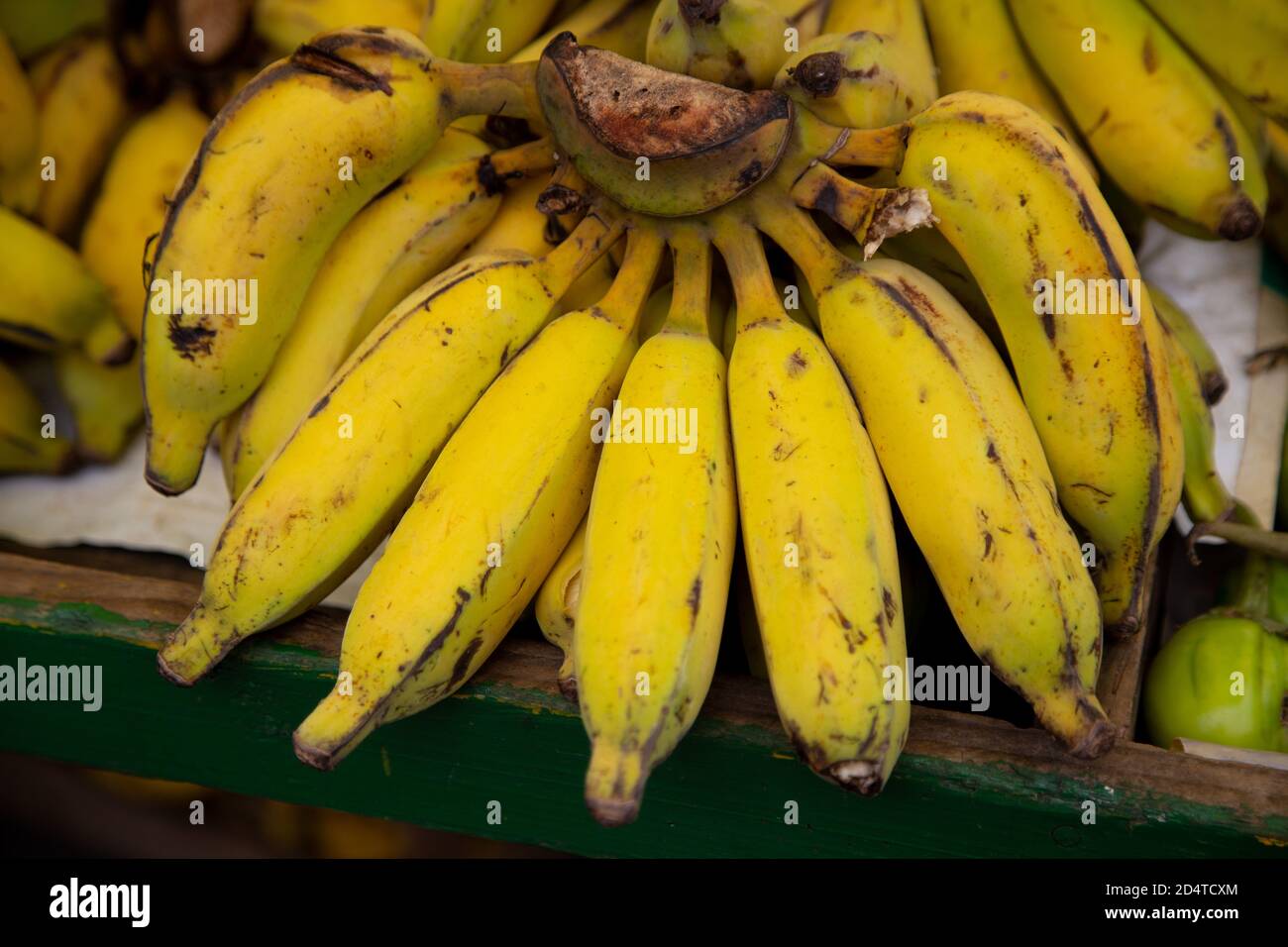 Tiny bananas hi-res stock photography and images - Alamy