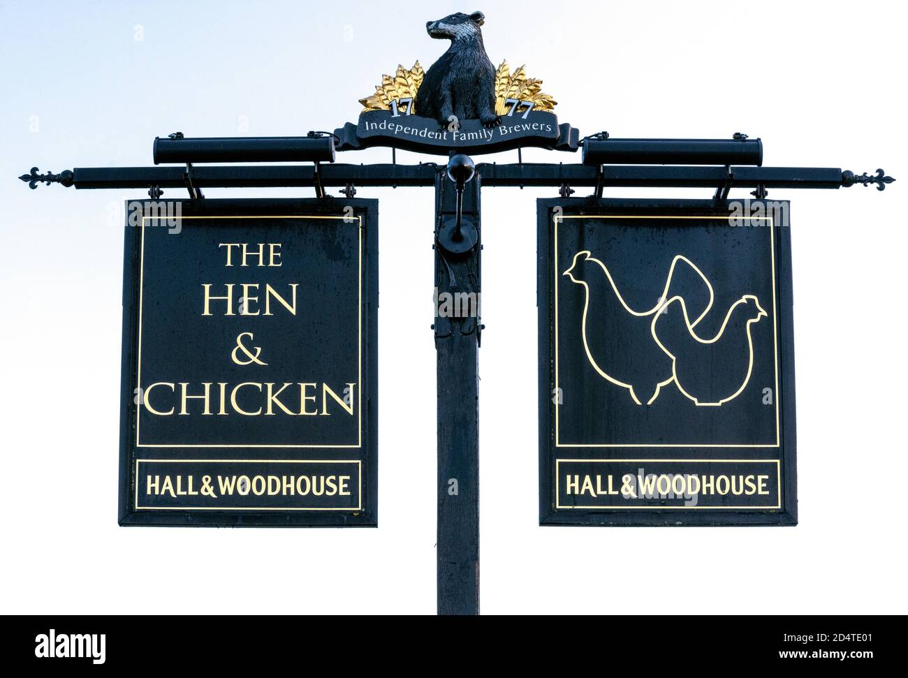 Hen and chicken alton hi-res stock photography and images - Alamy