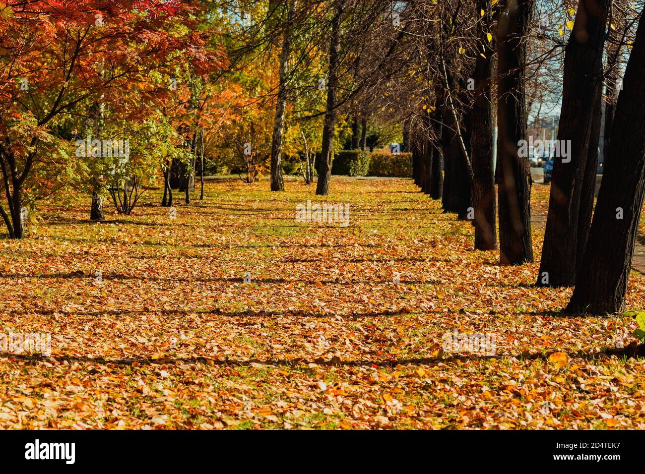 Change the landscape hi-res stock photography and images - Alamy
