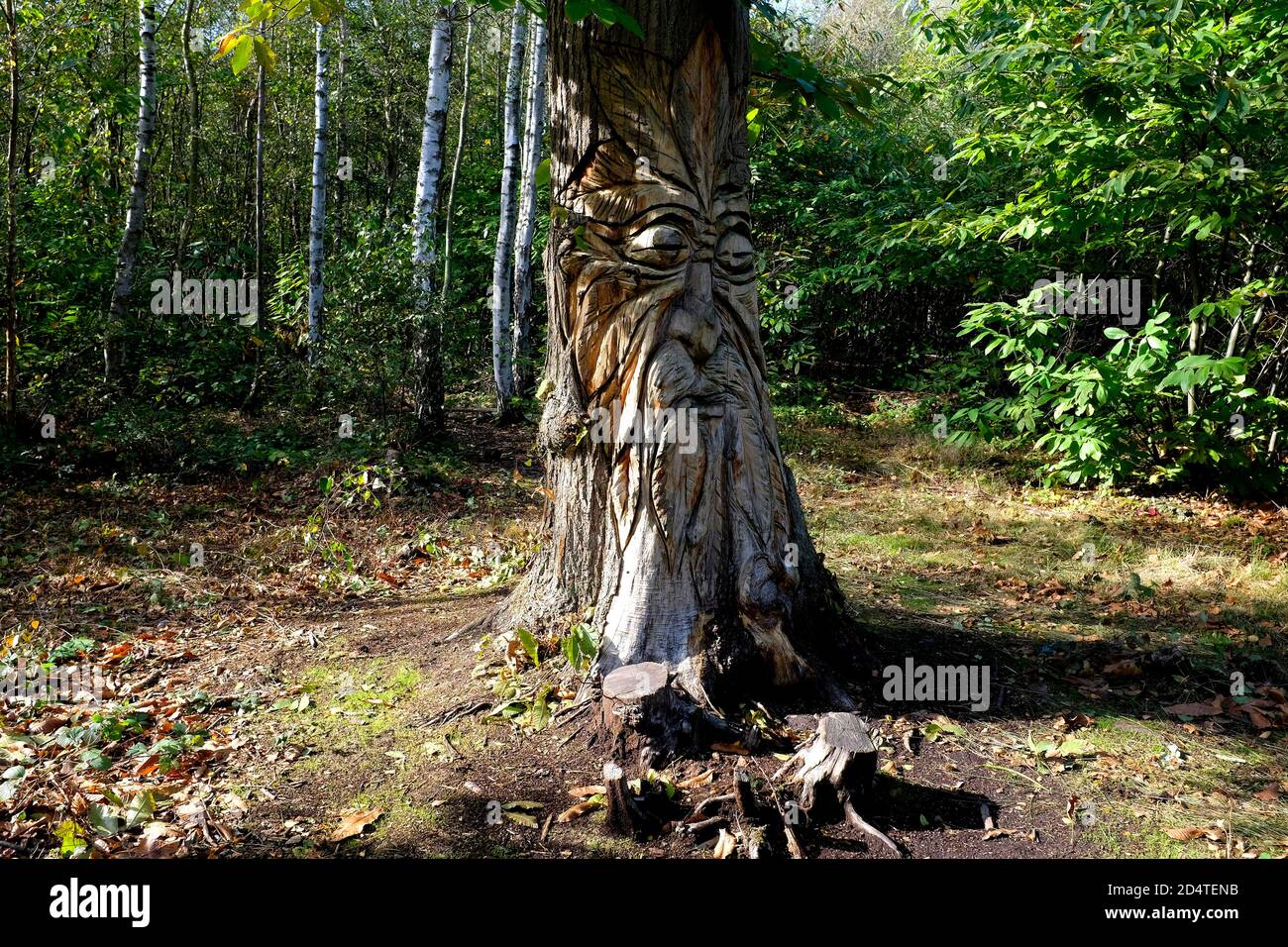 Green man carving foliate hi-res stock photography and images - Alamy