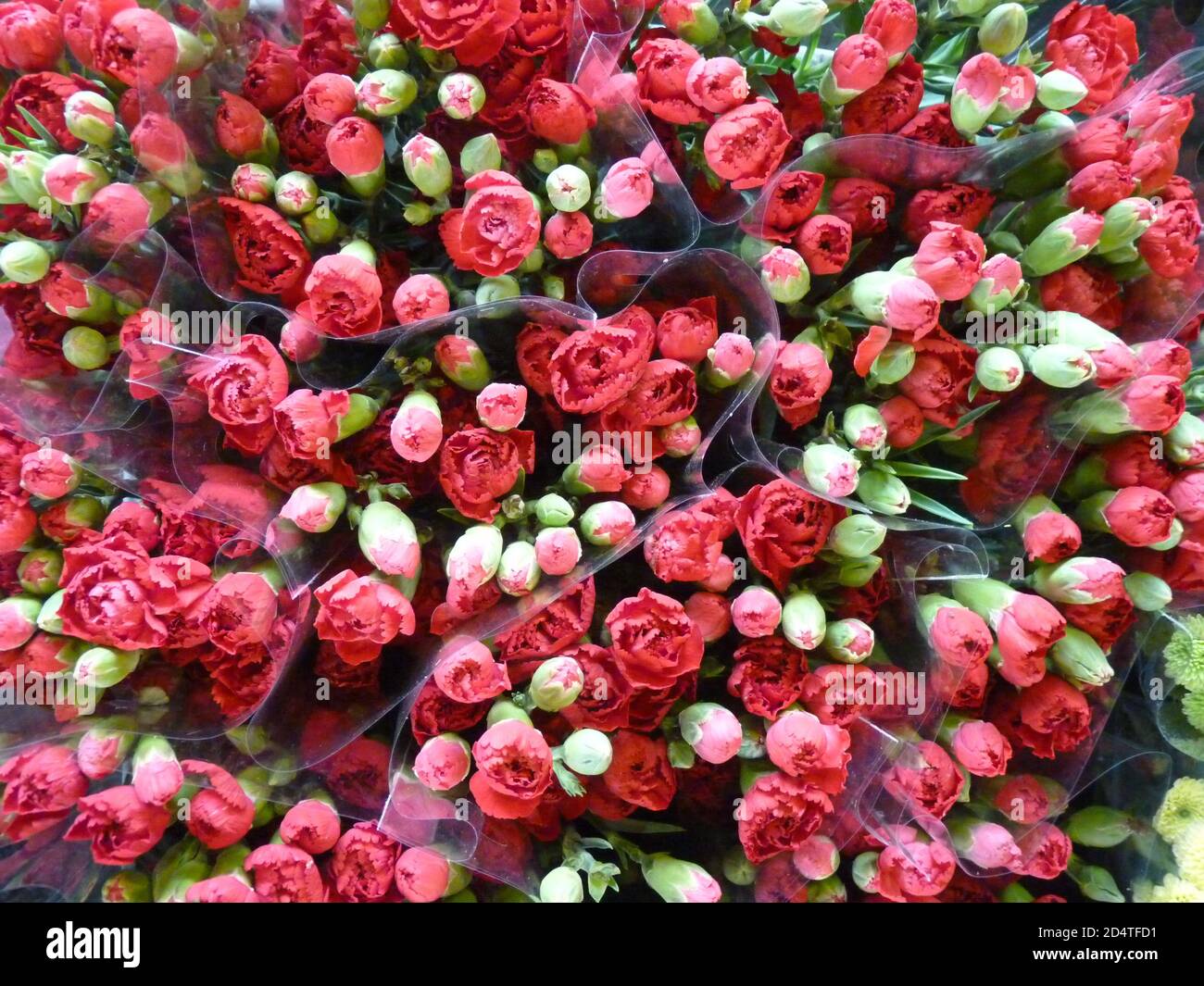 Top view shot of beautiful bouquets of flowers in a flower shop Stock ...