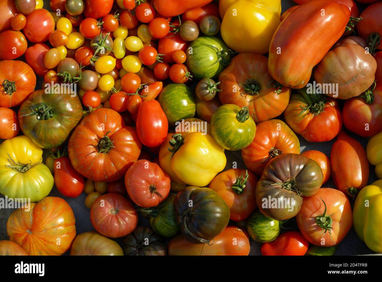 Anbau regionale hi-res stock photography and images - Alamy