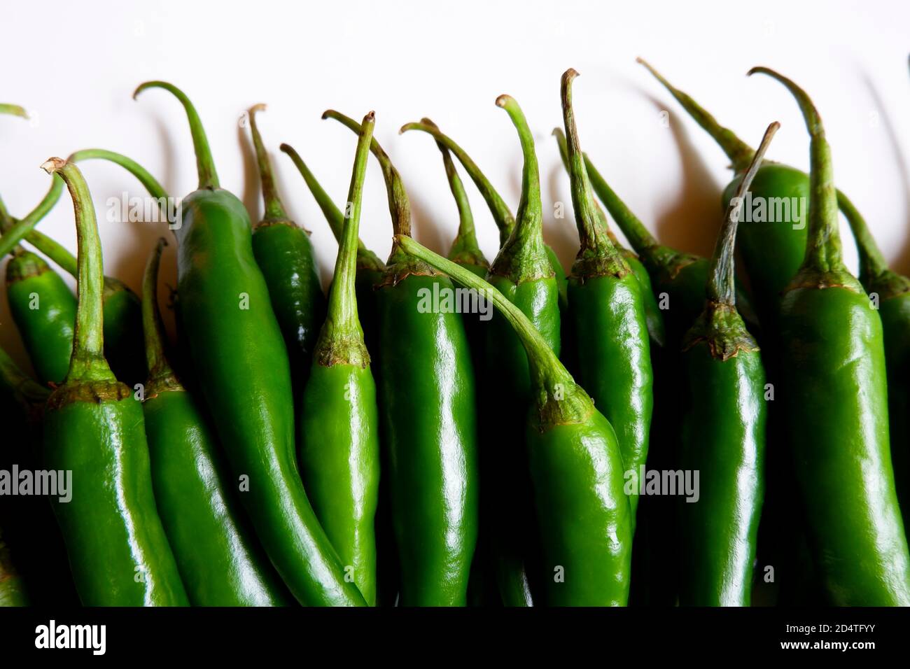 a close view of fresh green chillies on white background Stock Photo ...