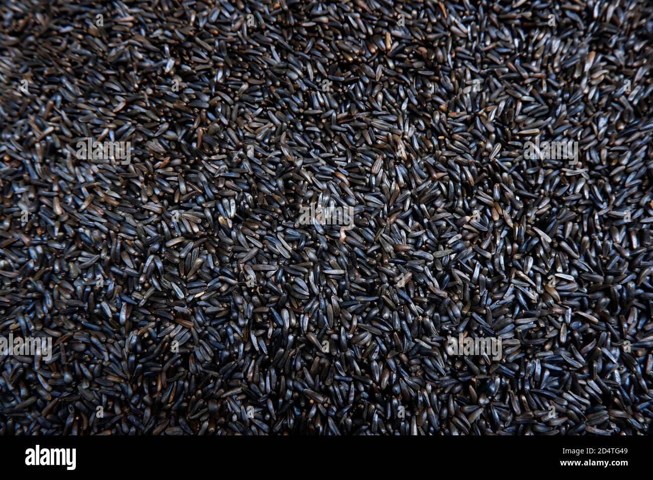 a close shot of black Niger seeds background Stock Photo - Alamy