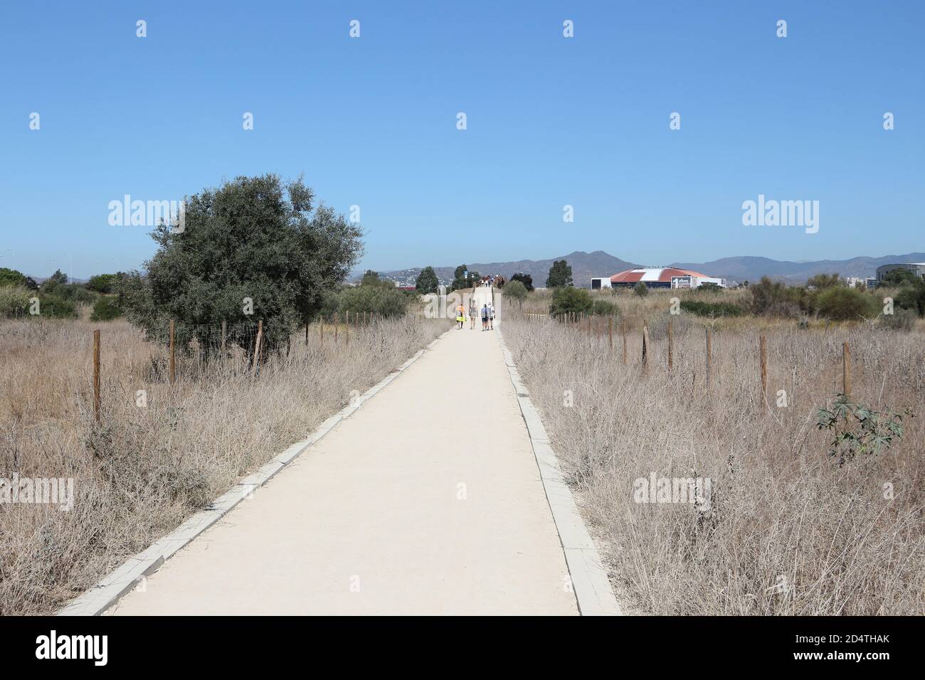 Pathway through the landscape of Guadalhorce river estuary nature ...