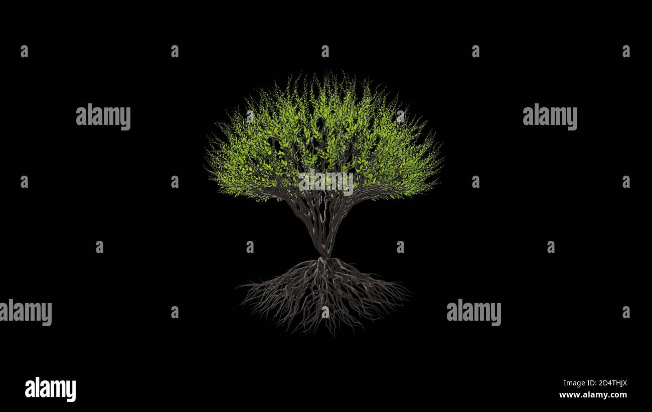 Tree in a spherical shape. Seasonal transition on black background. Eco ...