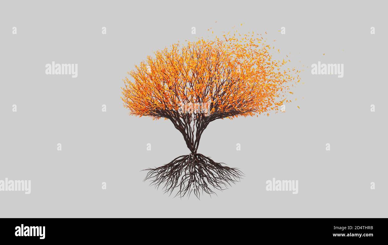 Tree in a spherical shape. Seasonal transition on white background. Eco ...