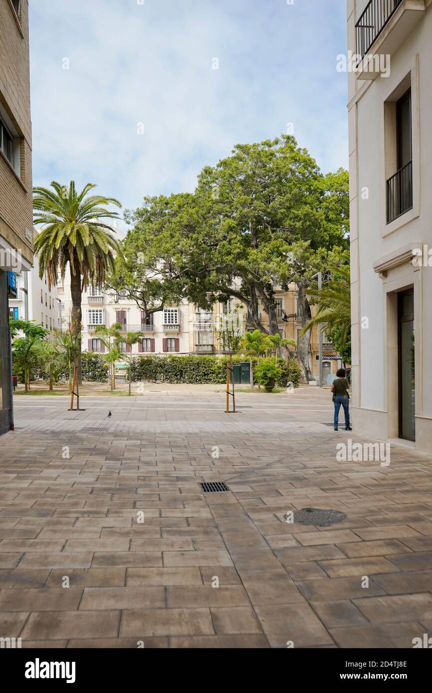 Reconstructed Alameda main street of Malaga, Costa del sol, Andalucia ...