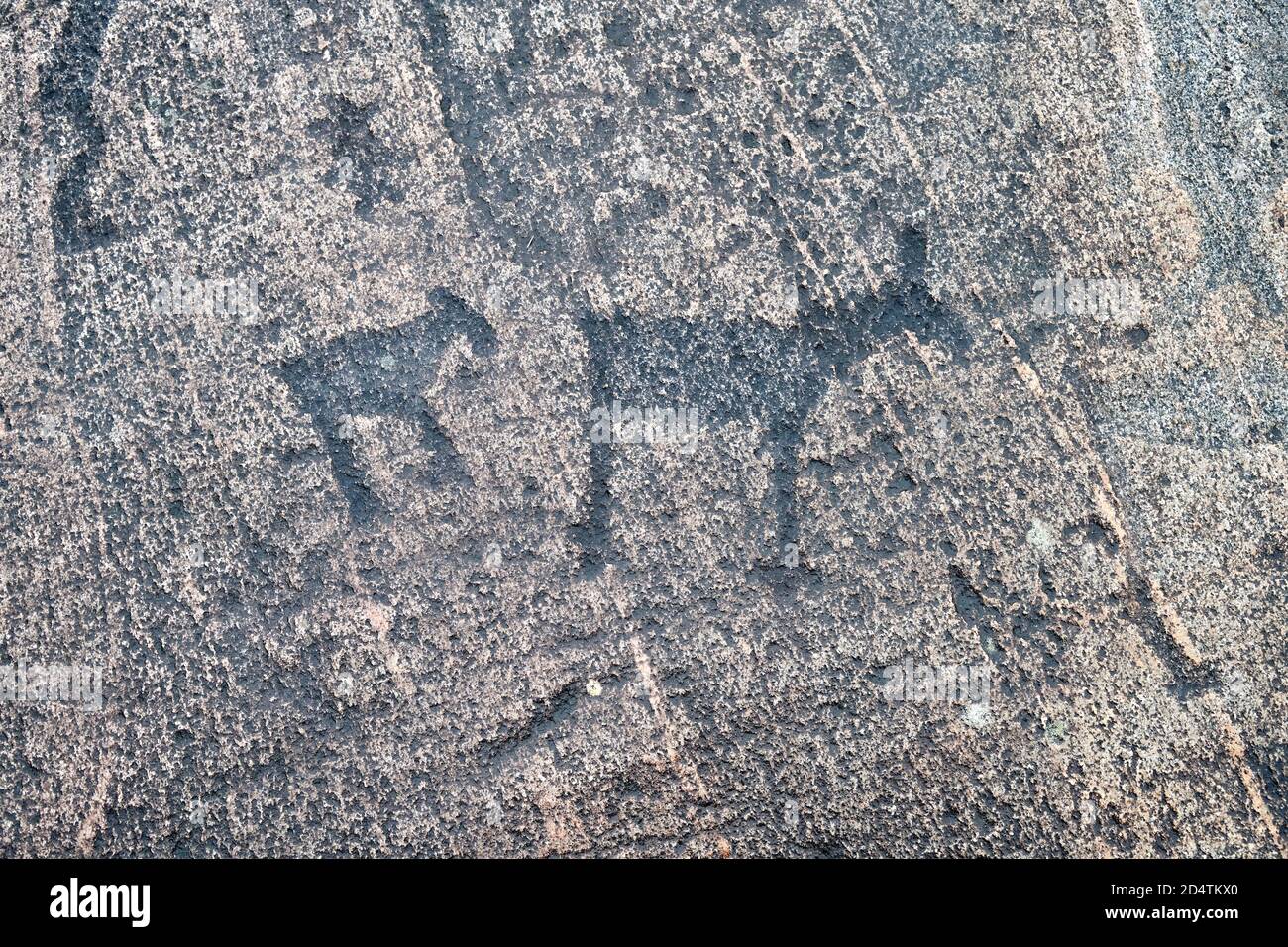 White Sea petroglyphs (ancient rock paintings) in Zalavruga, 4,5 ...