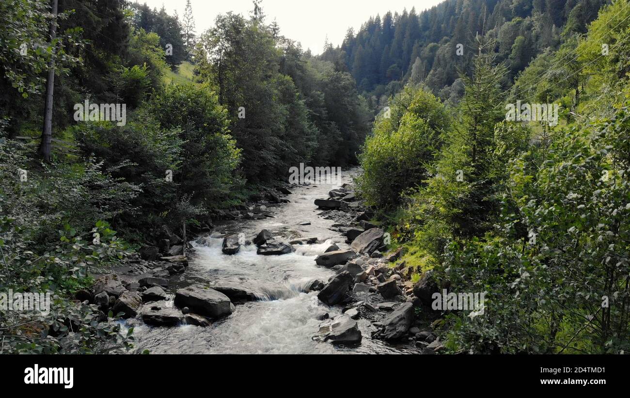 The river flows past the trees Stock Photo - Alamy