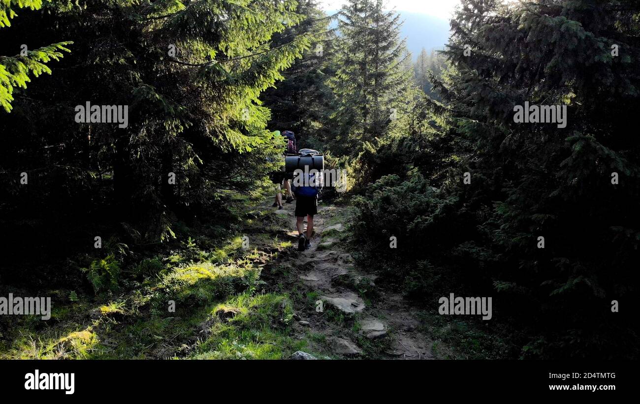 People on the forest path Stock Photo - Alamy