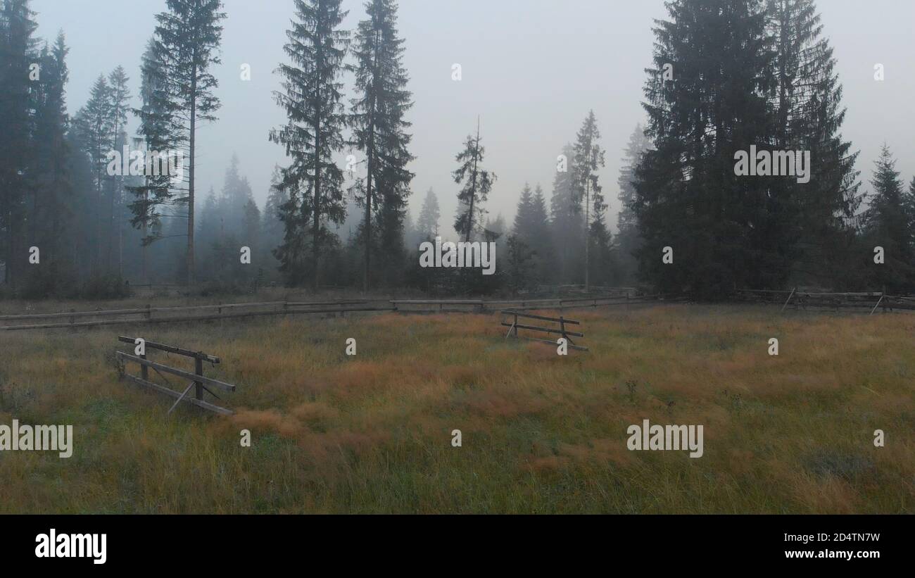 Empty fenced animal field Stock Photo - Alamy