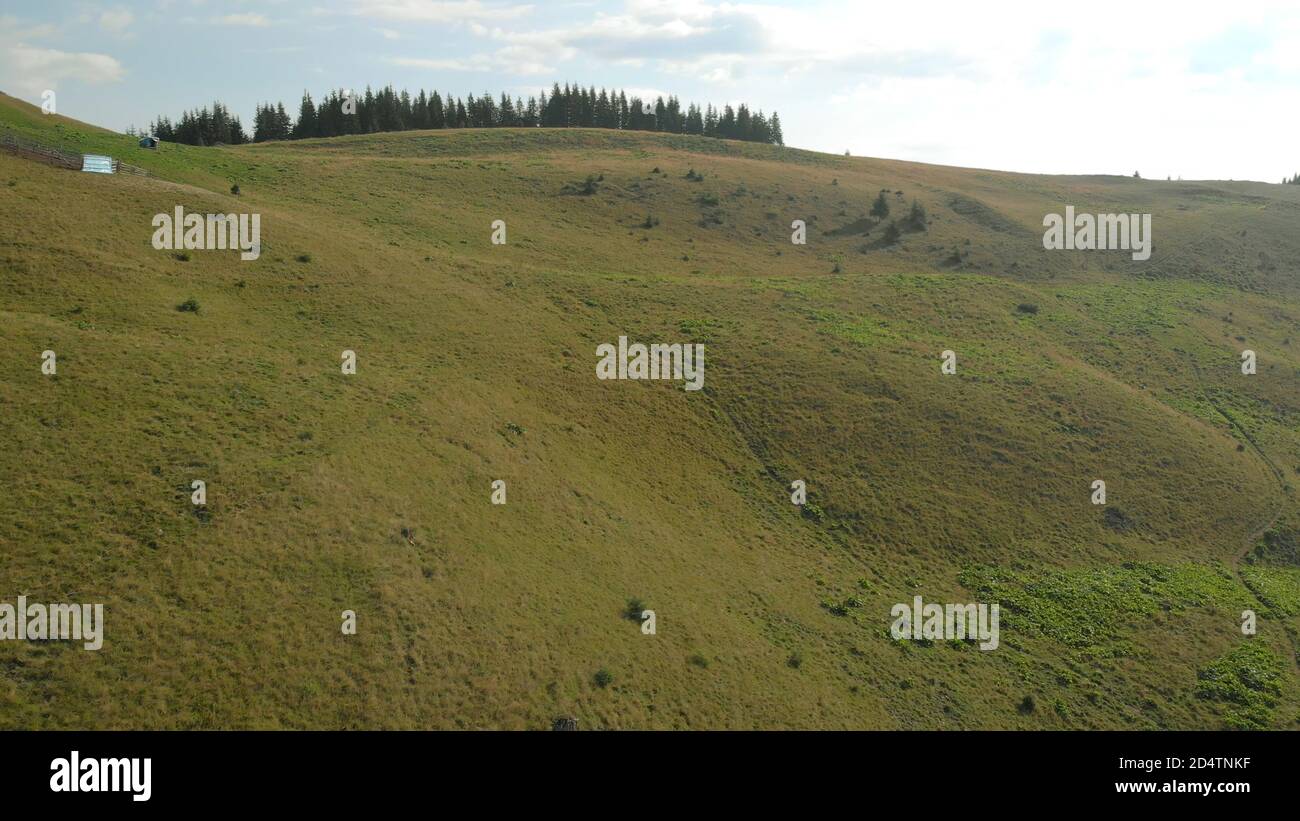 Gentle slope of green hill in mountains Stock Photo - Alamy