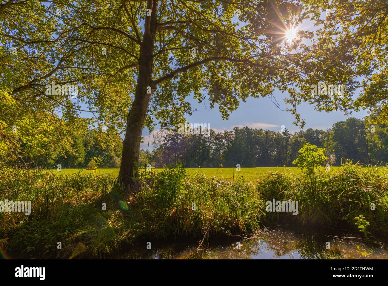 UNESCO biosphere reserve Spreewald or Spree Forest, a boat tour ...