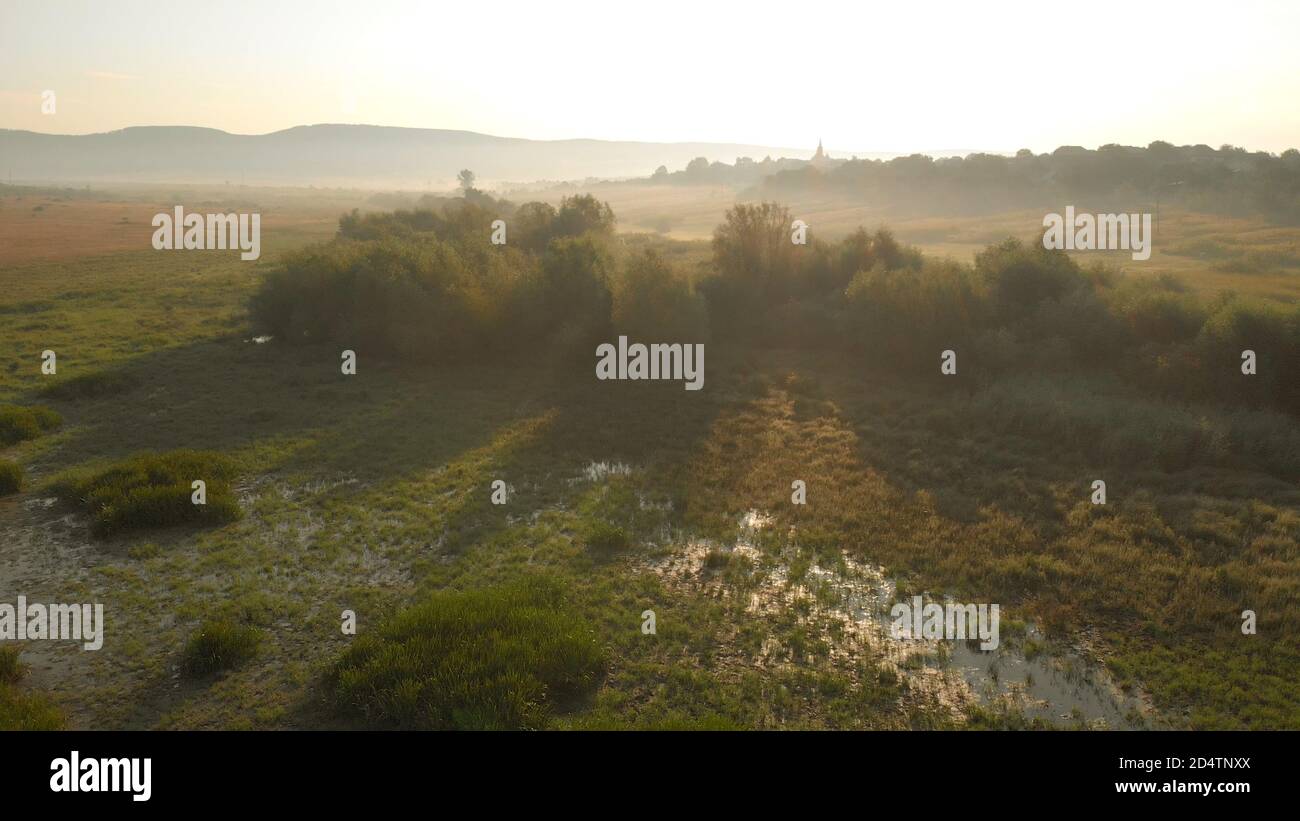 Swampy grass covered wetland hi-res stock photography and images - Alamy