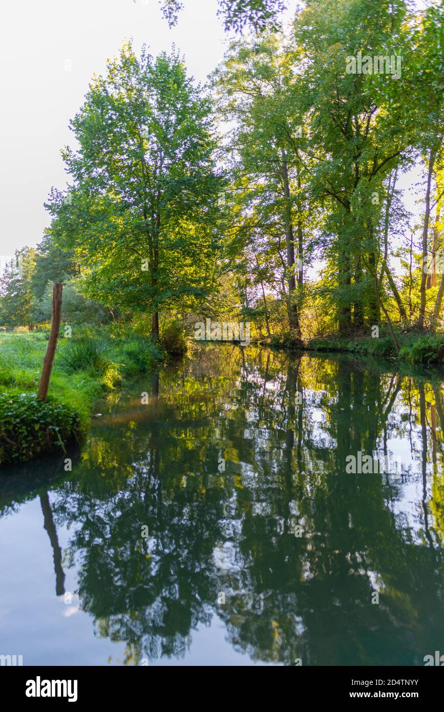 UNESCO biosphere reserve Spreewald or Spree Forest, a boat tour ...