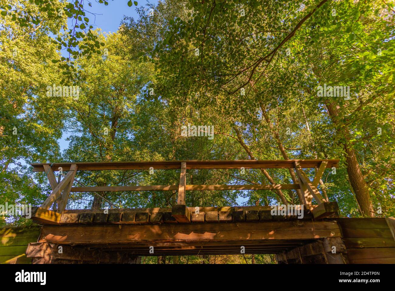 UNESCO biosphere reserve Spreewald or Spree Forest, a boat tour ...