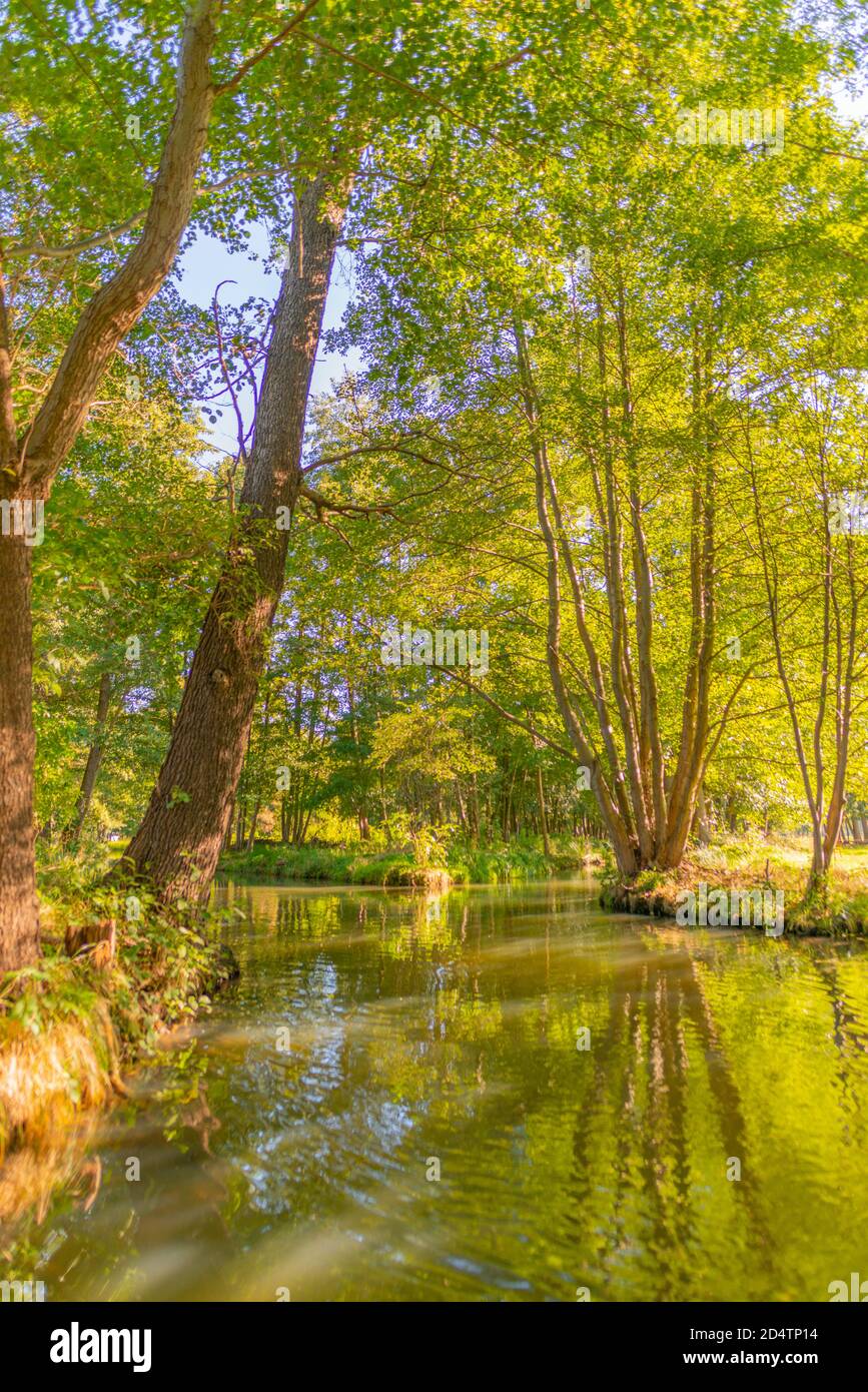 UNESCO biosphere reserve Spreewald or Spree Forest, a boat tour ...