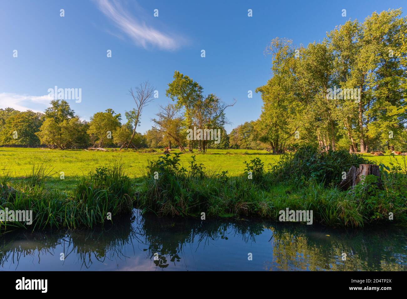 UNESCO biosphere reserve Spreewald or Spree Forest, a boat tour ...