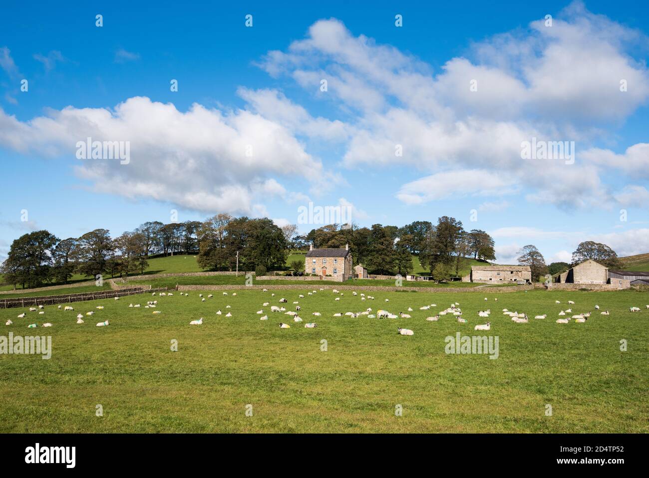 Little Newton , Long Preston Stock Photo - Alamy