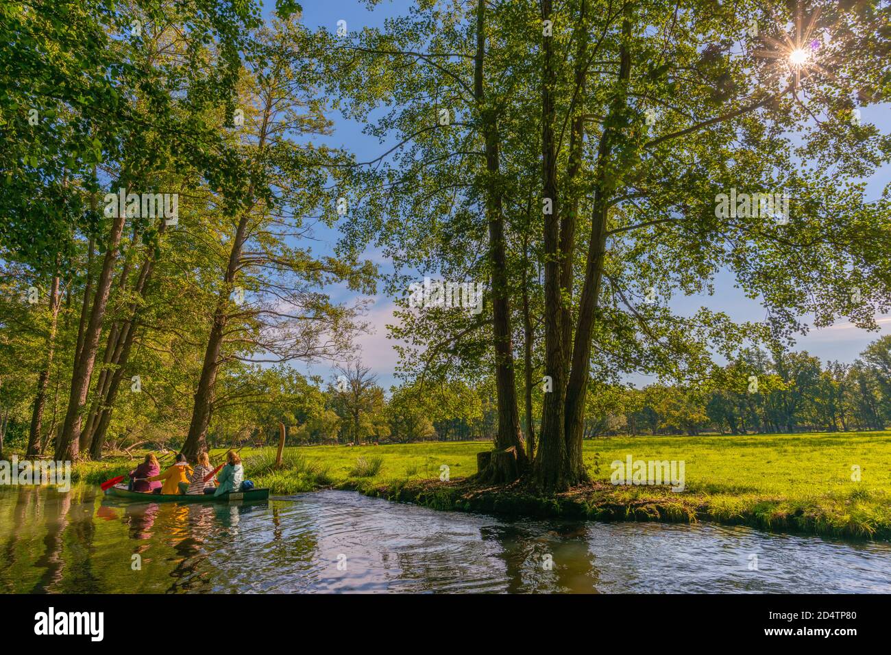 UNESCO biosphere reserve Spreewald or Spree Forest, a boat tour ...