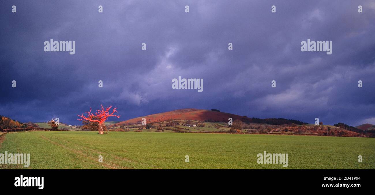 Phillipa england hi-res stock photography and images - Alamy