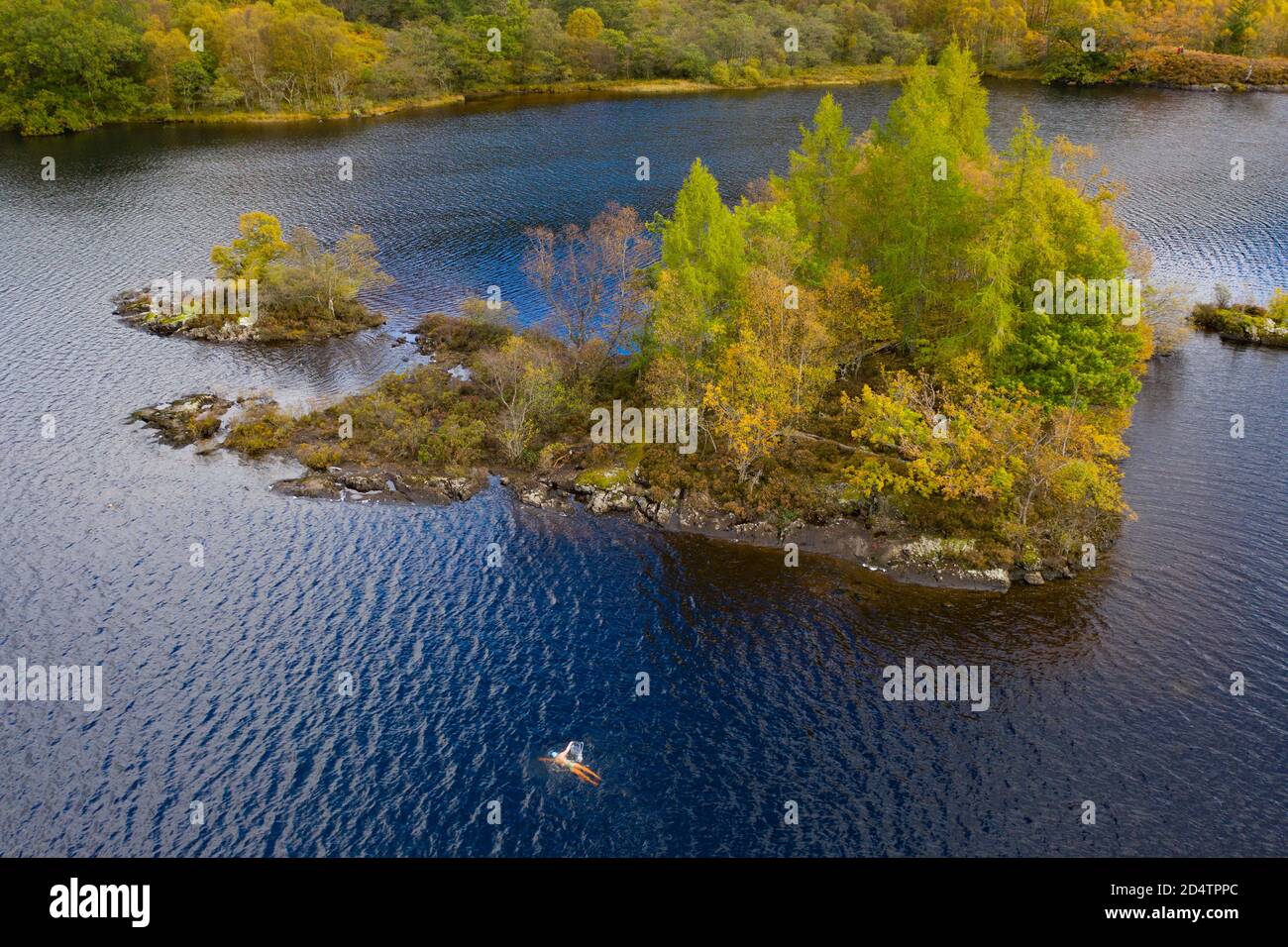 Woman swim wild uk hi-res stock photography and images - Alamy