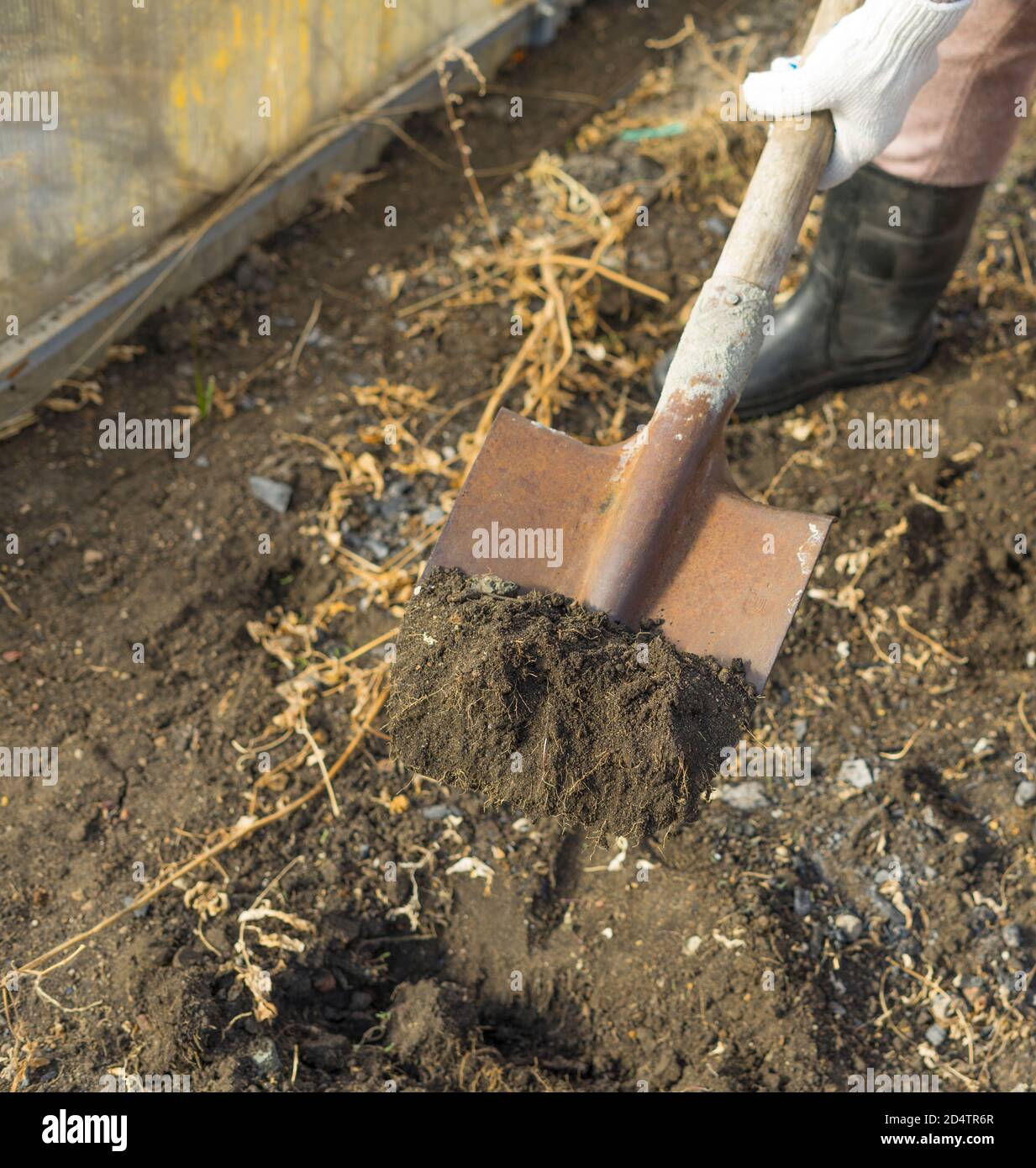 Hand hoeing hi-res stock photography and images - Alamy