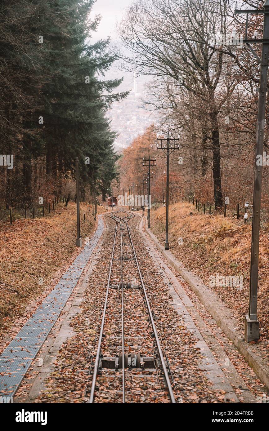 Beautiful shot of a tram railway in Heidelberg, Germany Stock Photo - Alamy