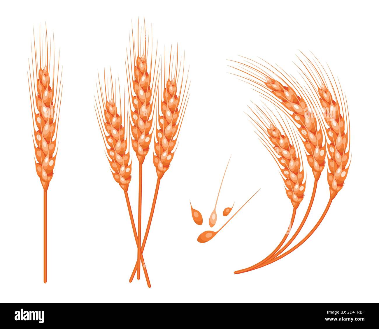 Set of vector wheat in 3d isolated white background with seed addition ...