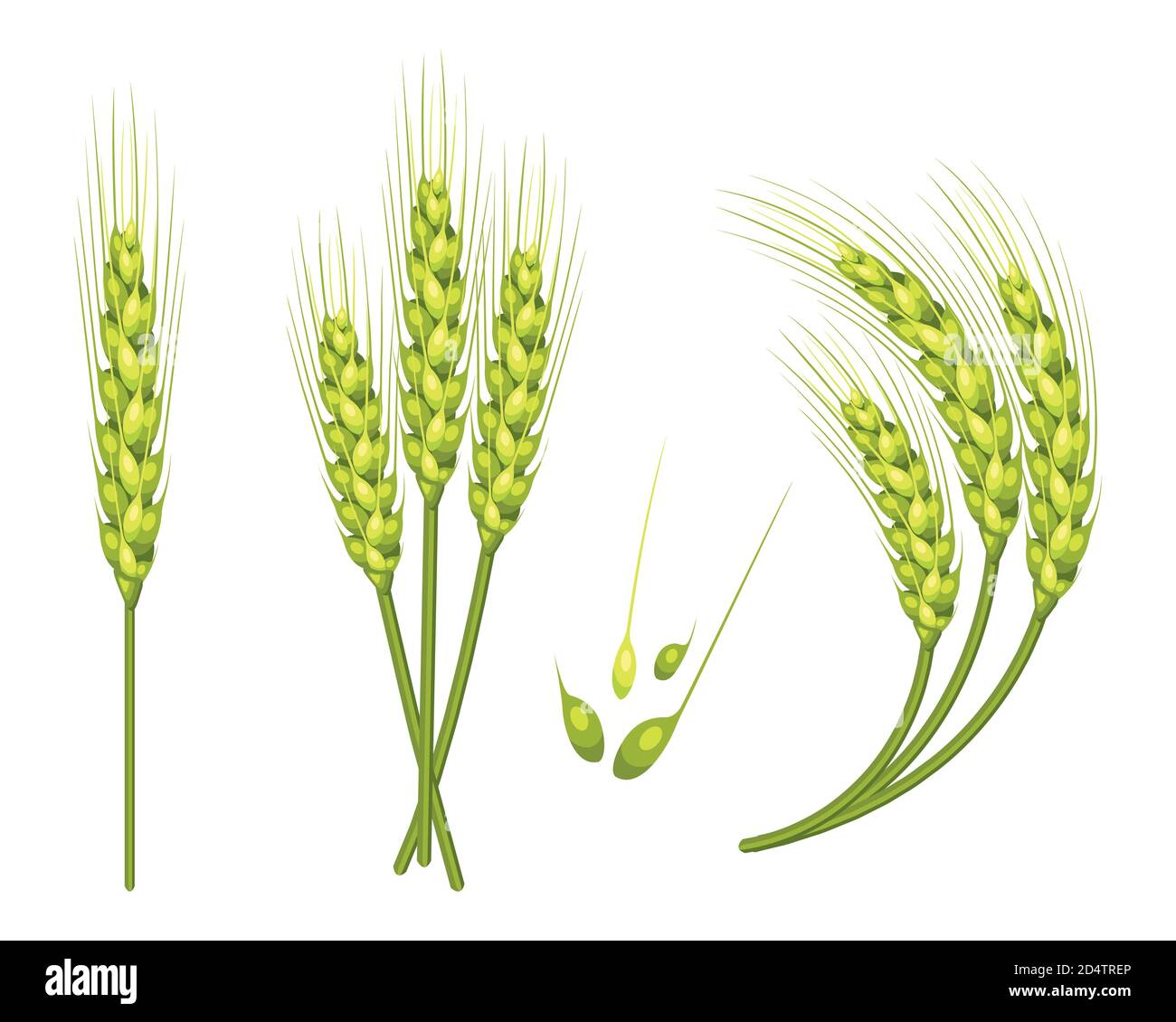 Set of vector wheat in 3d isolated white background with seed addition ...