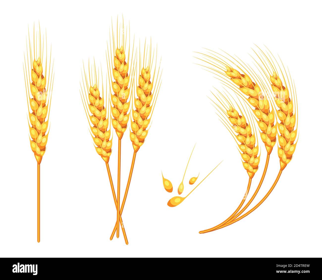 Set of vector wheat in 3d isolated white background with seed addition ...