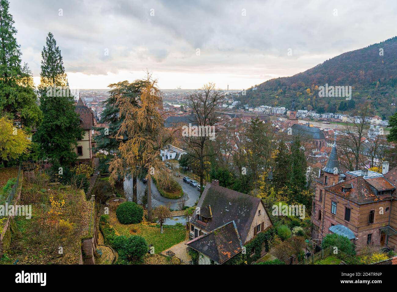 Park heidelberg autumn fall hi-res stock photography and images - Alamy