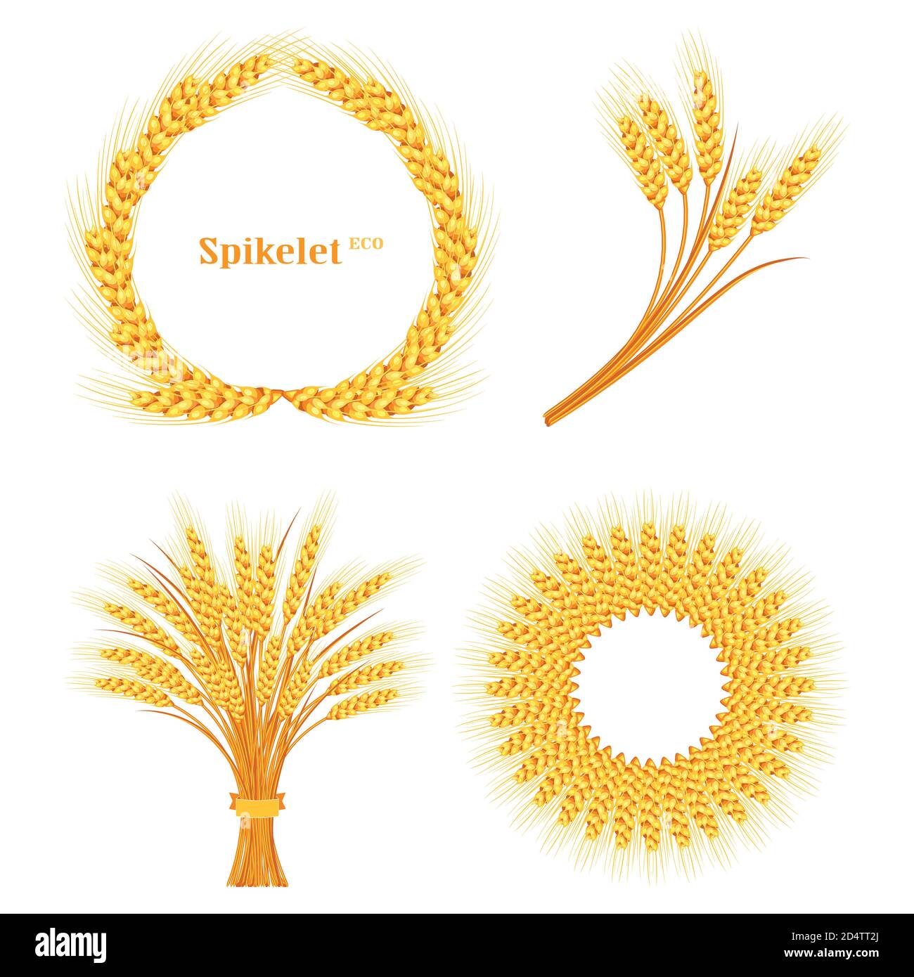 Vector wheat on white isolated background. Vector illustration Stock ...