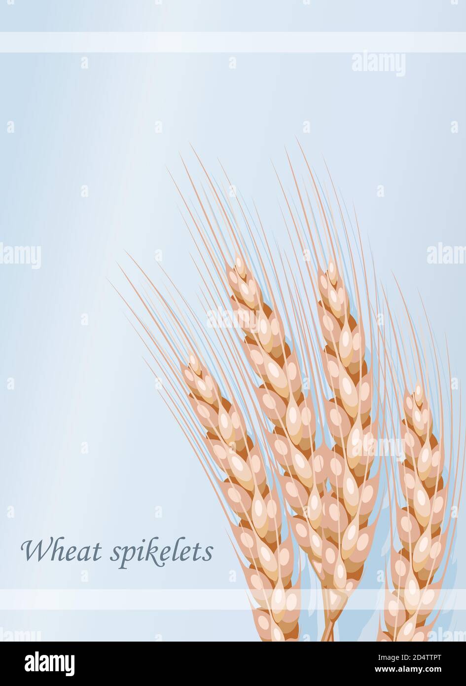 Vector wheat on a blue background. Card. Colorful vector illustration ...