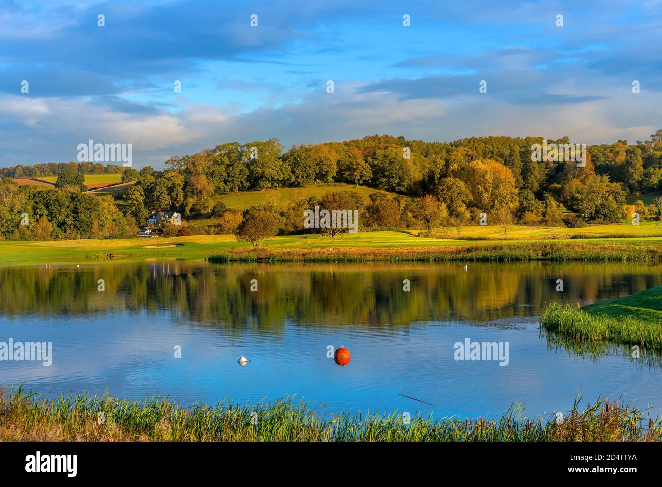 Argus south wales hi-res stock photography and images - Alamy
