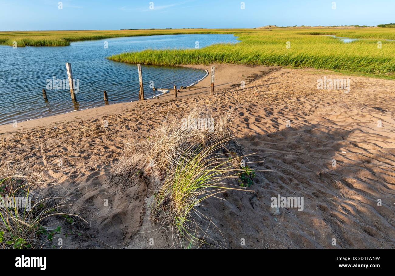Marsh grass cape cod hi-res stock photography and images - Alamy