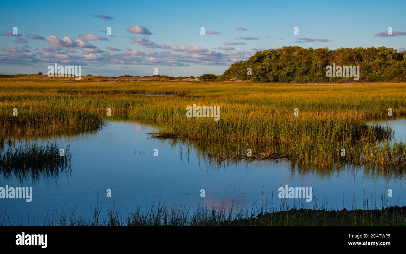 A view of the saltwater marshes with grasslands in the early morning ...