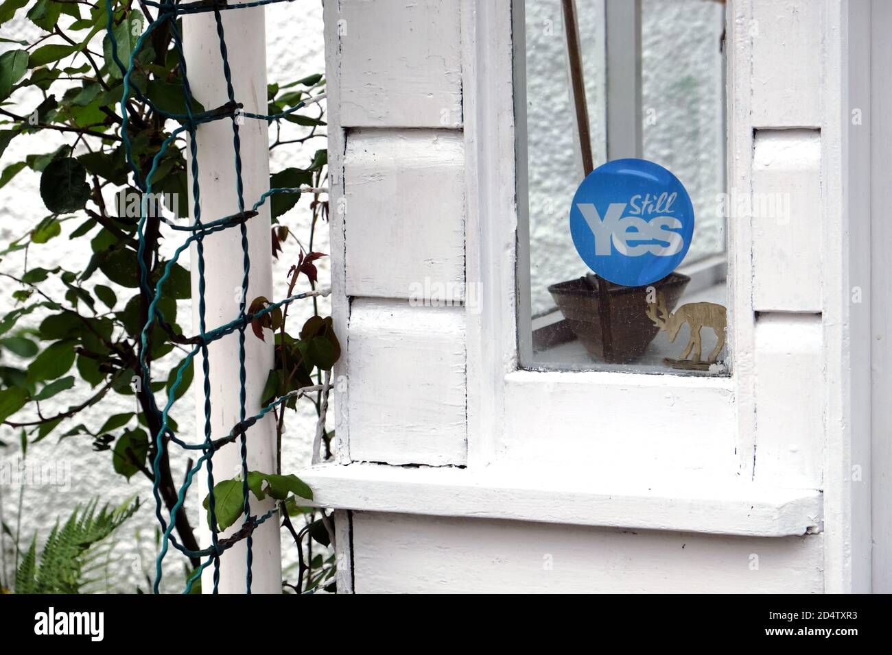 Say yes to independence hi-res stock photography and images - Alamy