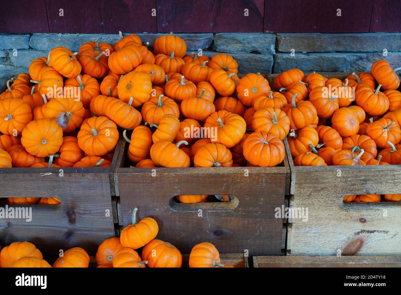 Bulk mini hi-res stock photography and images - Alamy